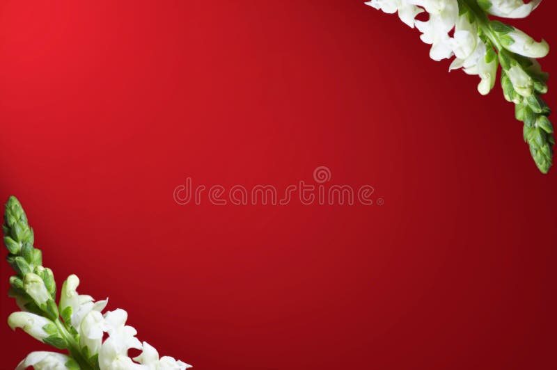 Snapdragon Border on Red Background Stock Image - Image of dragon ...