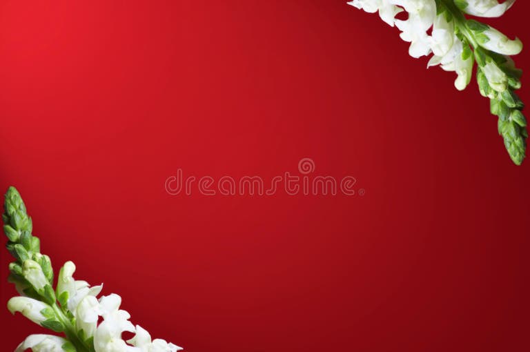 527 Red Dragon Border Stock Photos - Free & Royalty-Free Stock Photos ...