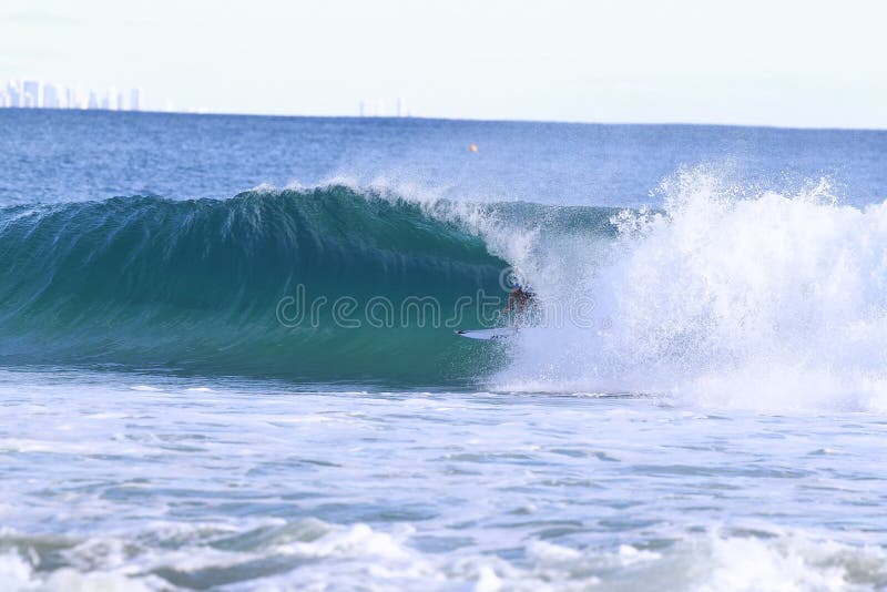 Snapper barrel stock photo. Image of barrel, snapper - 90338664