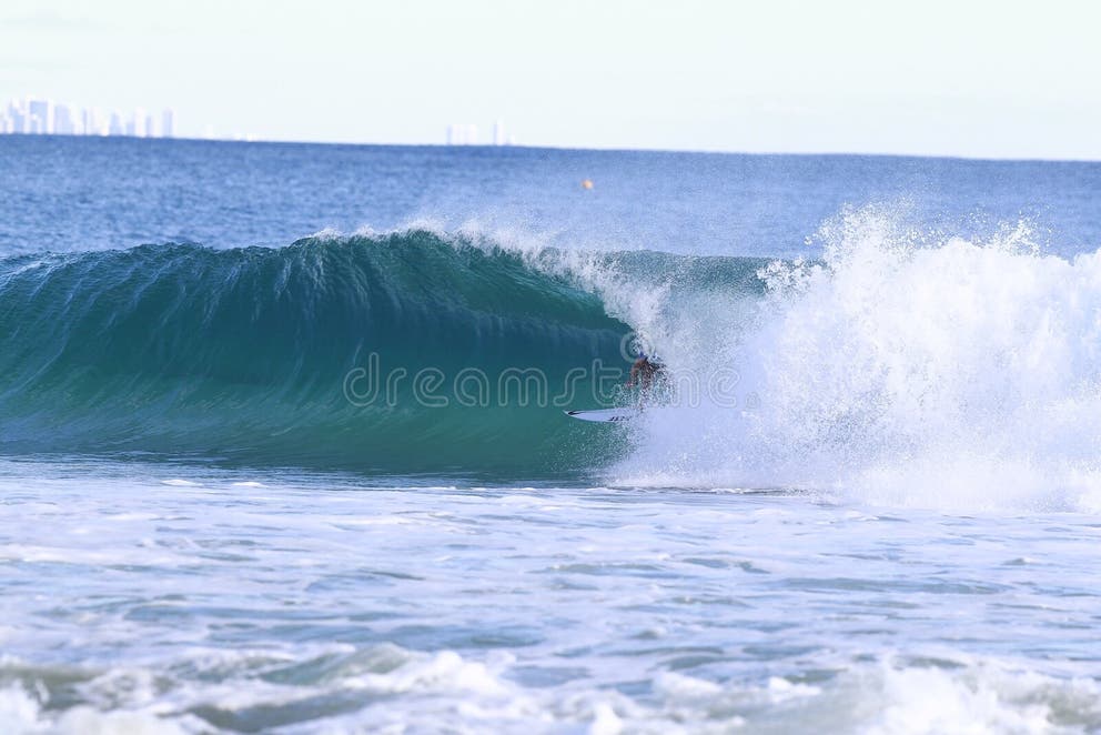 Snapper barrel stock photo. Image of barrel, snapper - 90338664