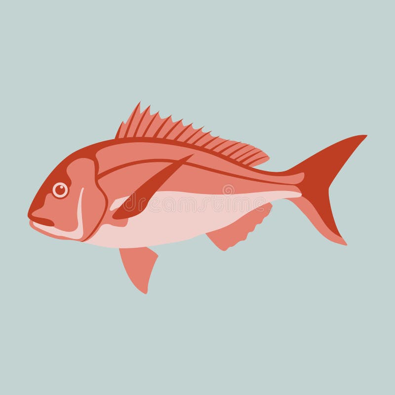 Snapper Fish, Vector Illustration, Black Silhouette, Side Stock Vector ...