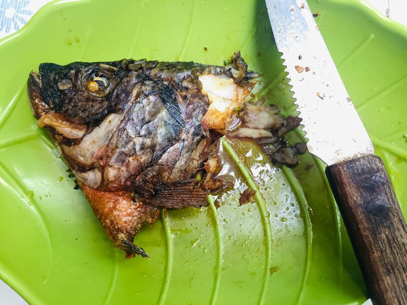 Fish head dish stock photo. Image of fresh, dish, cooking - 224858698