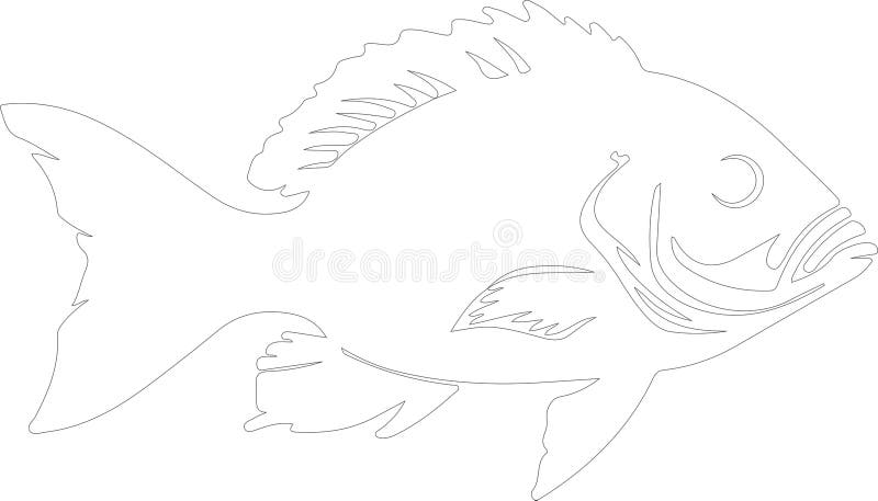 Snapper Outline Stock Illustrations – 154 Snapper Outline Stock ...