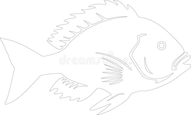 Snapper Outline Silhouette Generative Ai Stock Vector - Illustration of ...
