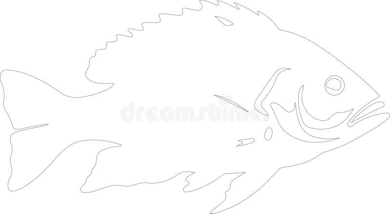 Snapper Outline Stock Illustrations – 180 Snapper Outline Stock ...