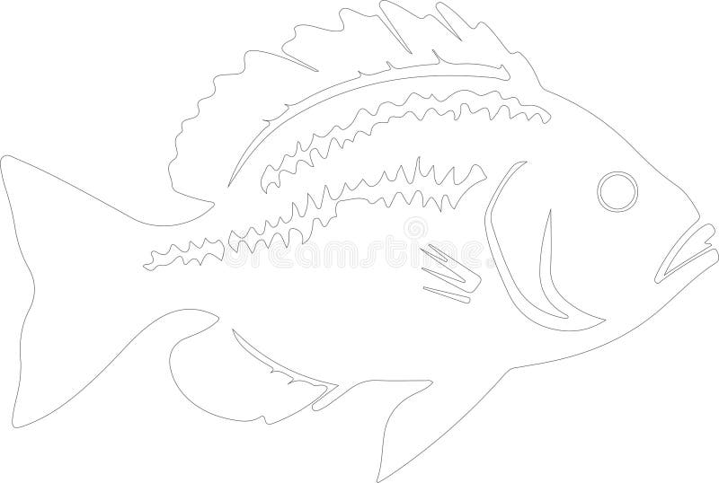 Snapper Outline Silhouette Generative Ai Stock Vector - Illustration of ...
