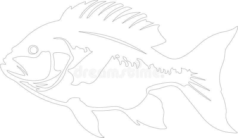 Snapper Outline Stock Illustrations – 191 Snapper Outline Stock ...