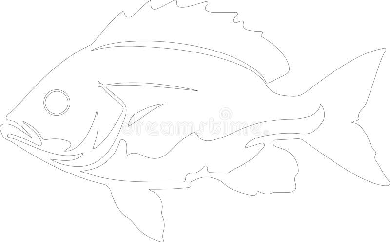 Snapper Outline Stock Illustrations – 191 Snapper Outline Stock ...