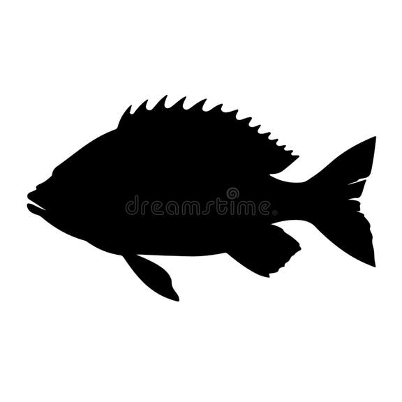 Snapper silhouette stock vector. Illustration of engraving - 290565000