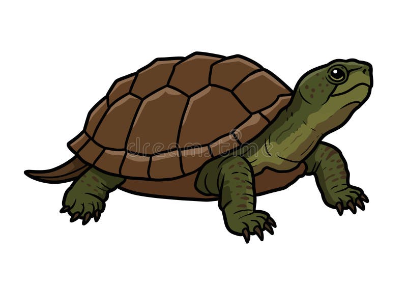 Snapping turtle clip art stock vector. Illustration of shell - 364621189