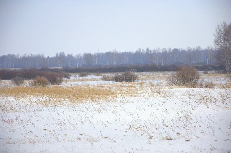 Snapshot on Open Space. Background, Texture Stock Photo - Image of ...