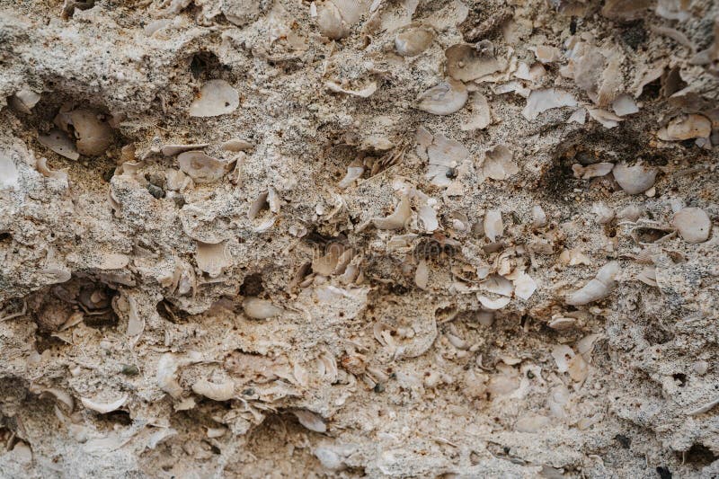 A Snapshot of the Texture of Sedimentary Limestone Rock in a Rock ...