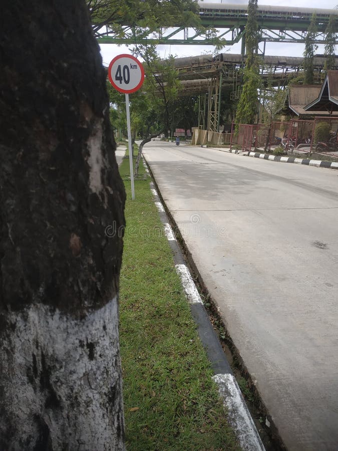 Sneak peek behind the tree stock photo. Image of tree - 264050654