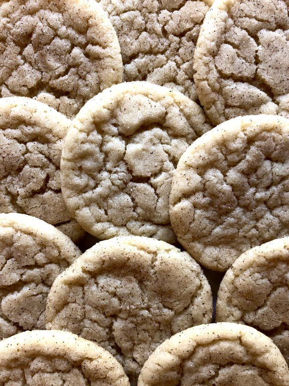 Snickerdoodles stock image. Image of baking, white, snickerdoodle ...