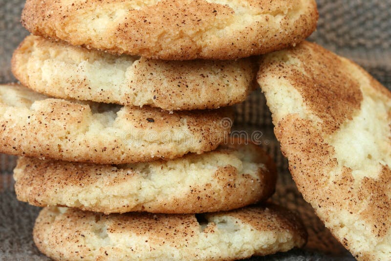Snickerdoodles Cookies stock image. Image of brown, flavor - 14002677