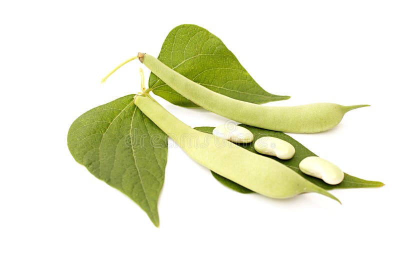 De Snijboon is Turks Traditioneel Voedsel Met Uien Stock Foto - Image ...