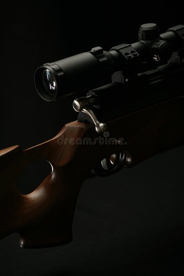 Wooden Toy Sniper Rifle Made of Wood in Hands Stock Photo - Image of ...