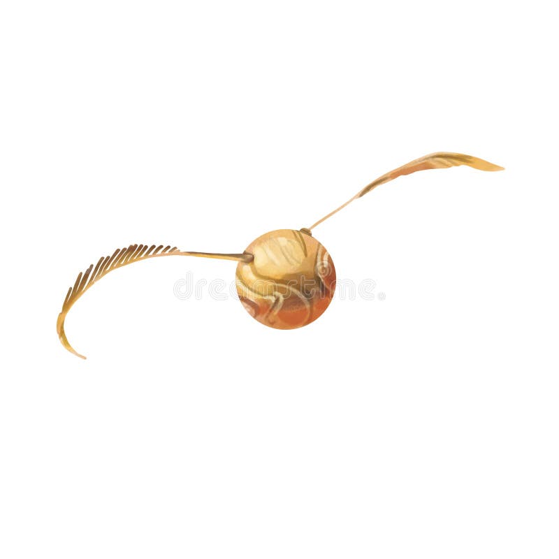 Quidditch Stock Illustrations – 85 Quidditch Stock Illustrations ...