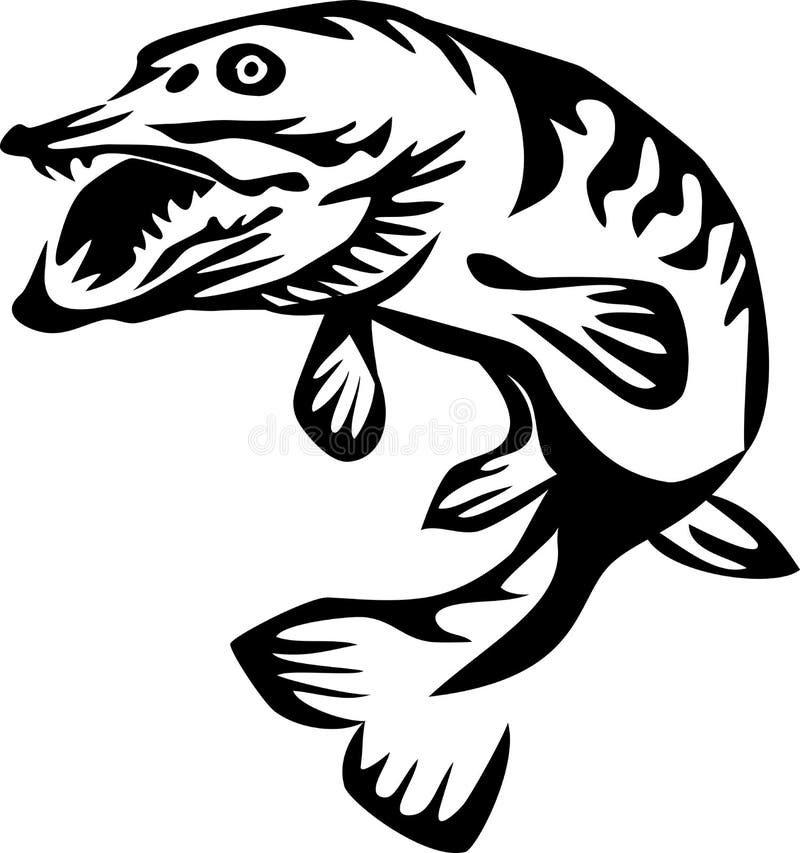 Snoeken Stock Illustrations, Vectors, & Clipart – (4,691 Stock ...