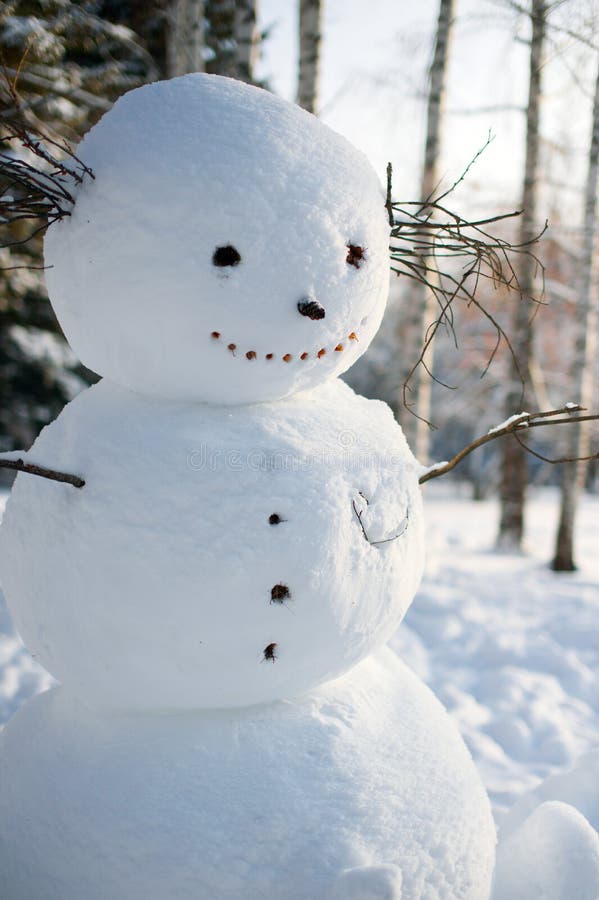 Snoman stock image. Image of beauty, shaved, carrot, pine - 27803347