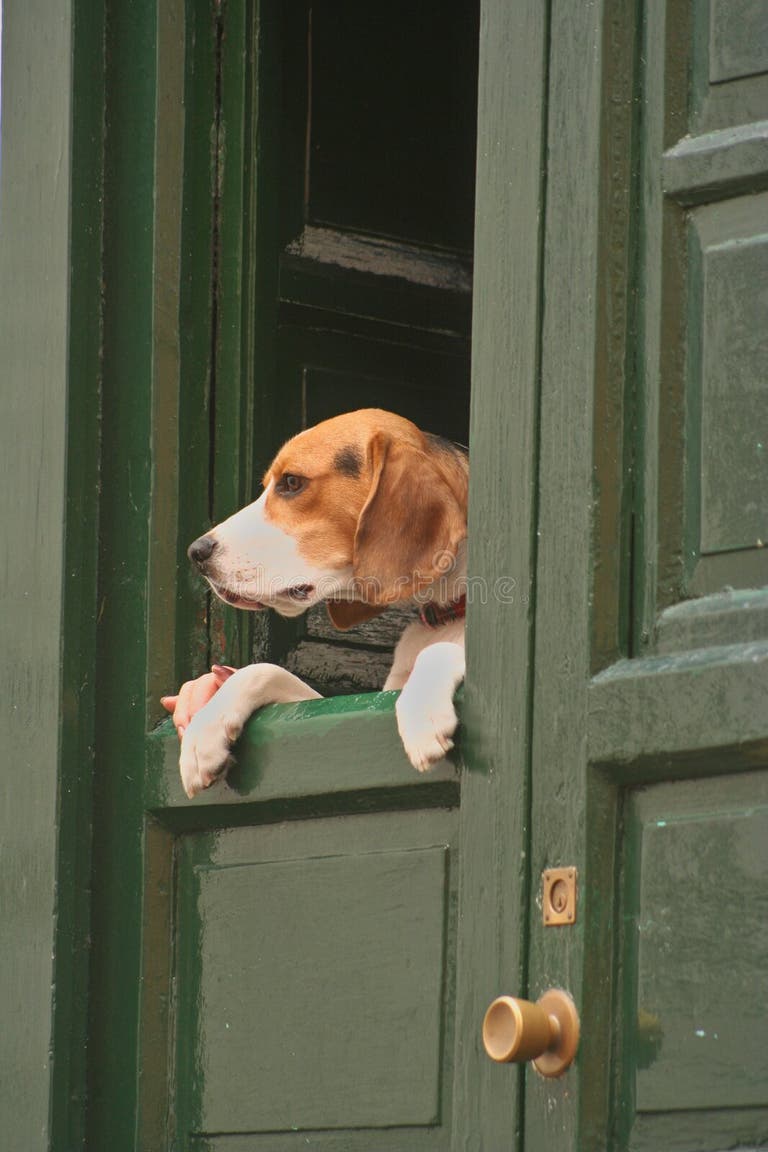 470 Snoop Dog Daughter Stock Photos - Free & Royalty-Free Stock Photos ...