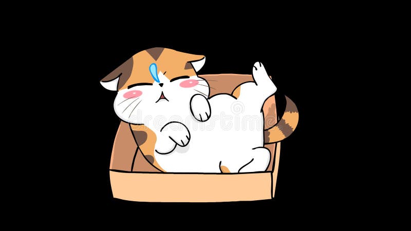Snoozing Kitten in a Box - Transparent Background Stock Video - Video ...
