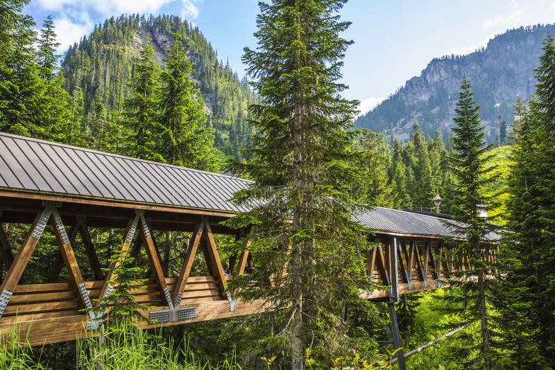 Snoqualmie Pass Forest and Wood Bridge in Summer Stock Photo - Image of ...