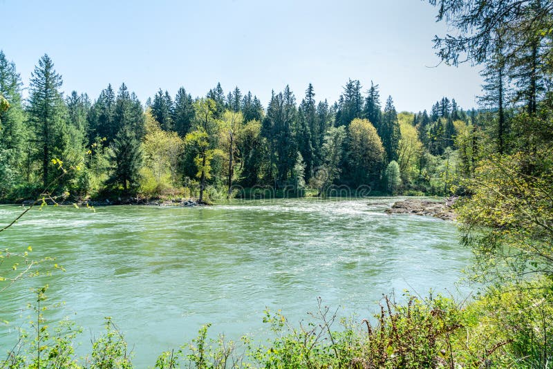 Snoqualmie River and Trees 2 Stock Image - Image of river, outdoors ...
