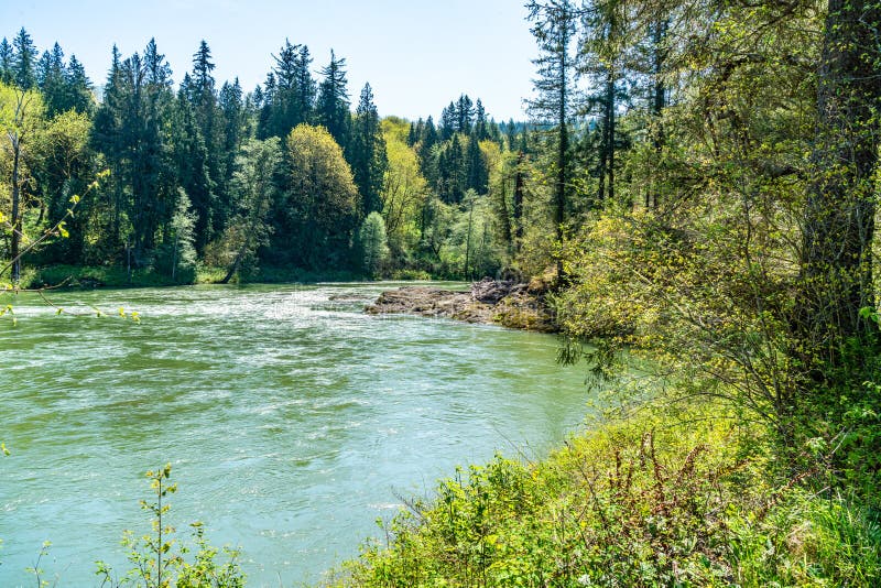 Snoqualmie River and Trees stock photo. Image of landscape - 279596600