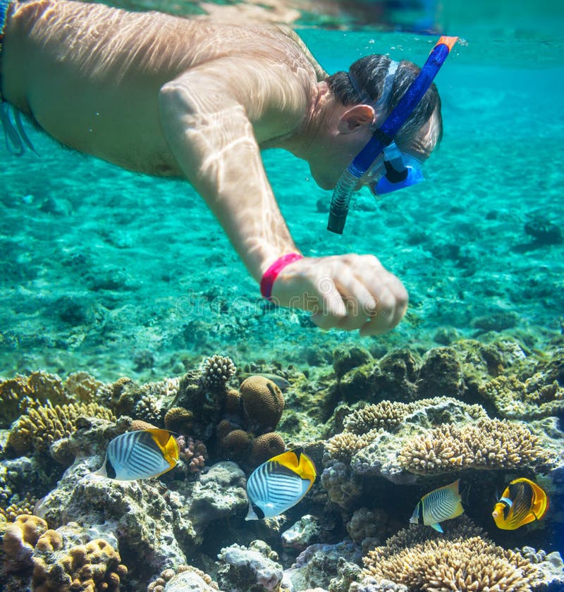 Snorkel stock photo. Image of egypt, sport, snorkel, cave - 54188008