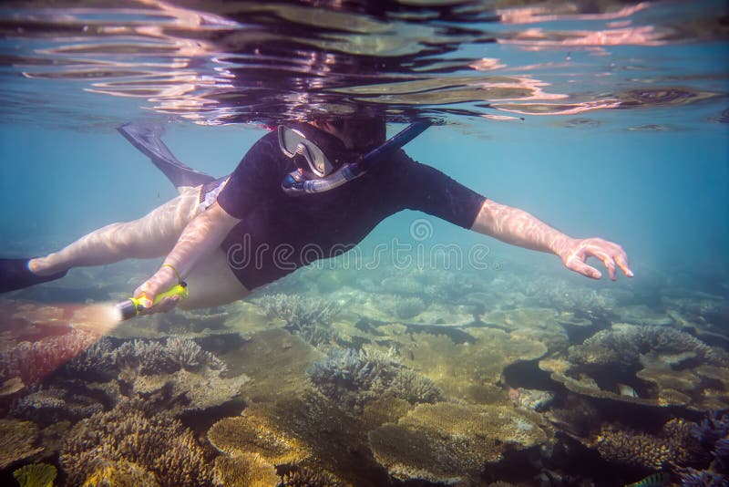 Snorkeler stock image. Image of exercise, blue, coral - 64756193
