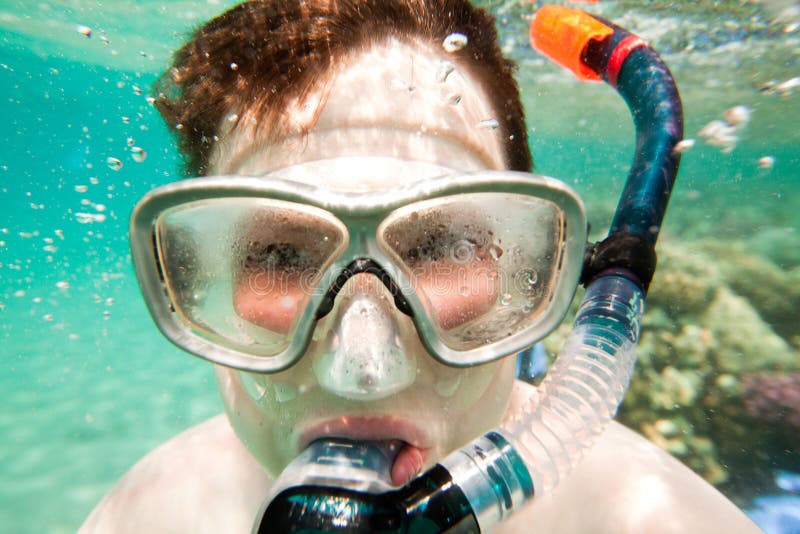 Snorkeler. Red sea stock image. Image of bubble, square - 15369795