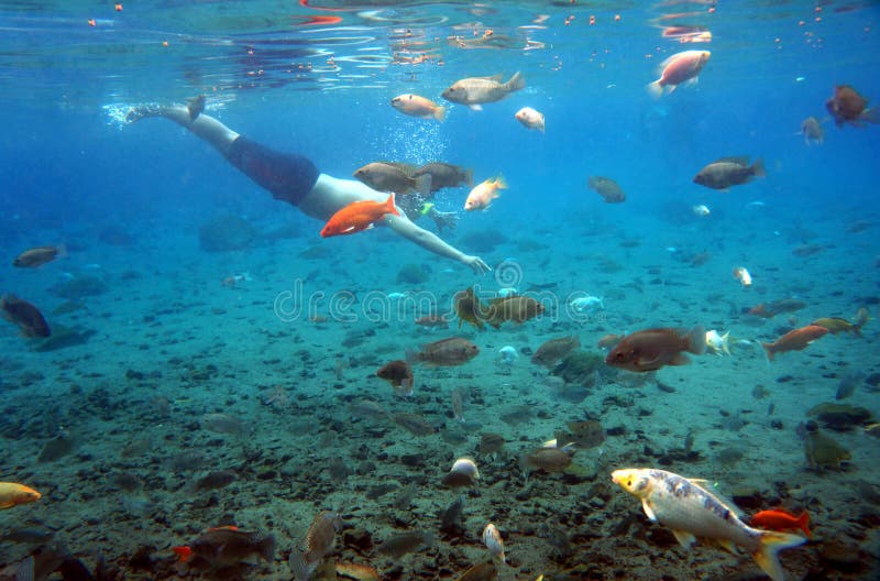 Snorkeling editorial photo. Image of reef, java, ecosystem - 37777316