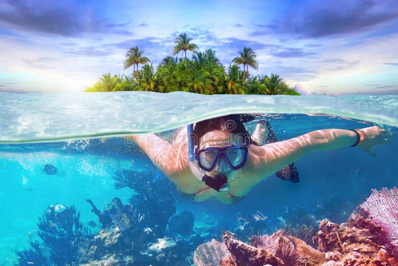 Snorkeling in the Tropical Water Stock Photo - Image of recreation ...