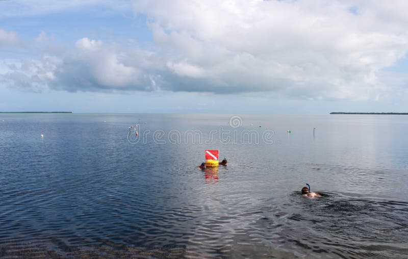 Snorkling in the Florida Keys with Safety Float and Flag Stock Photo ...