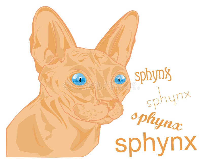 Sphynx and words stock illustration. Illustration of expensive - 181066437