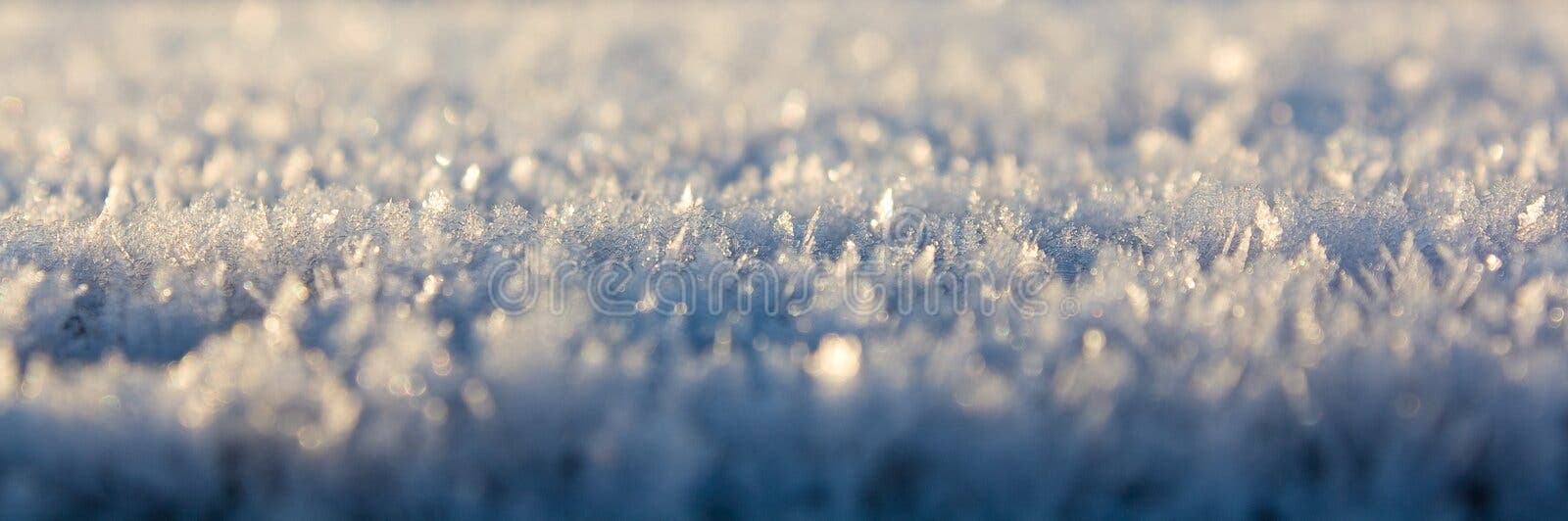 Winter Header / Banner stock illustration. Illustration of field - 3532254