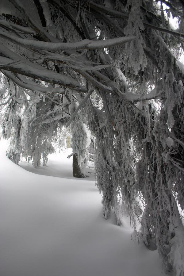 Snow Free Stock Photos & Pictures, Snow Royalty-Free and Public Domain ...