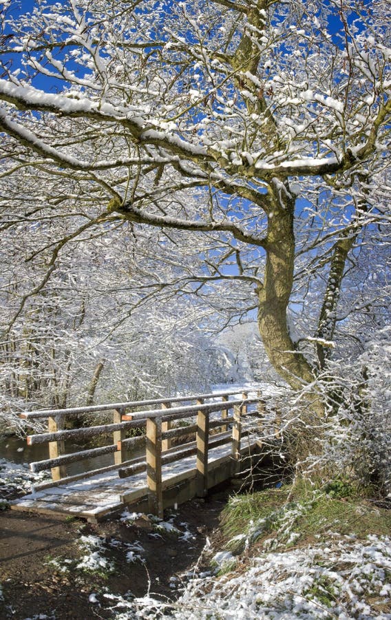 Snow stock photo. Image of redditch, snap, february, landscape - 4818040