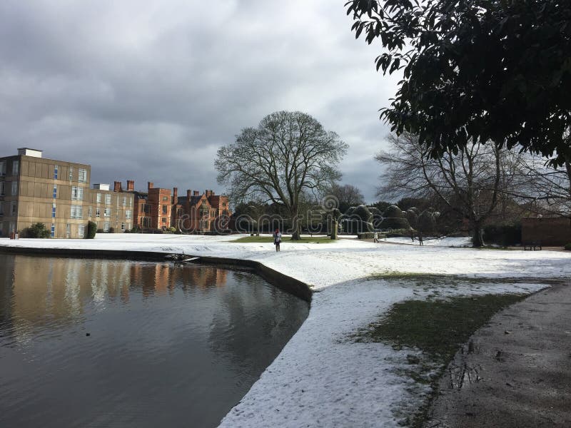 Snow stock photo. Image of march, garden, cloudy, snow - 69794820