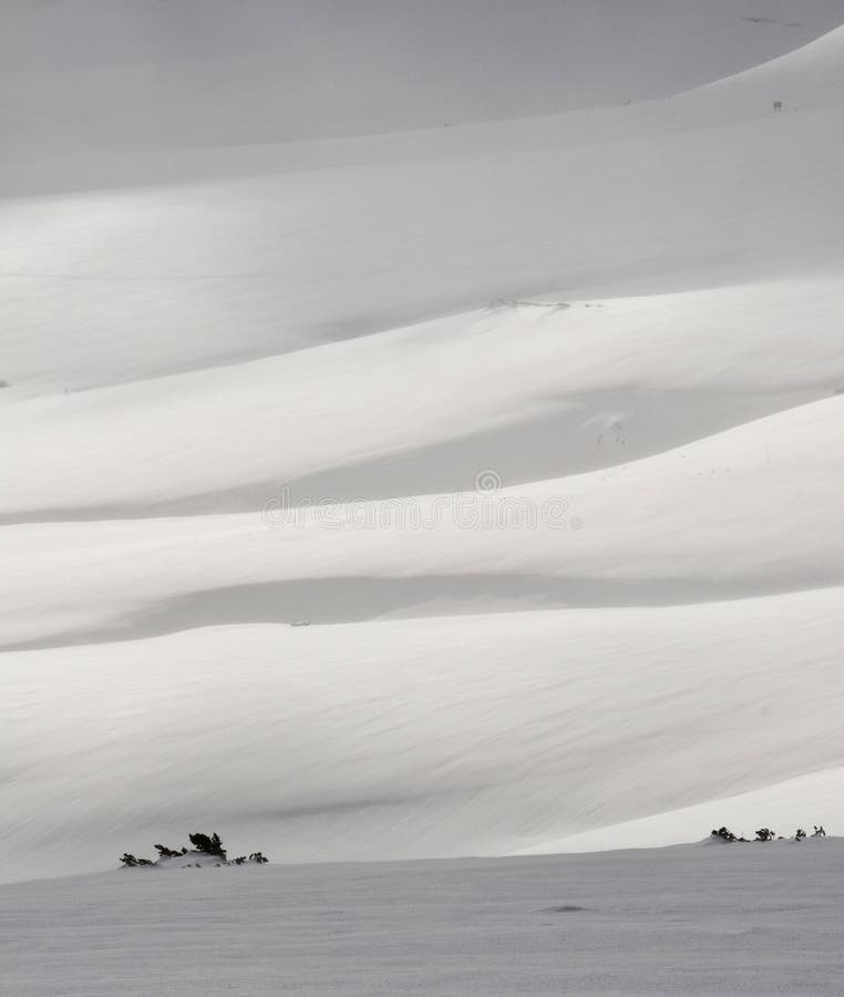 Snow abstract stock photo. Image of nature, frozen, shadow - 13563488