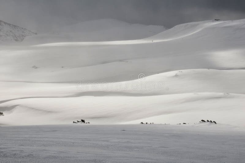Snow abstract stock image. Image of shadow, winter, shape - 13563523