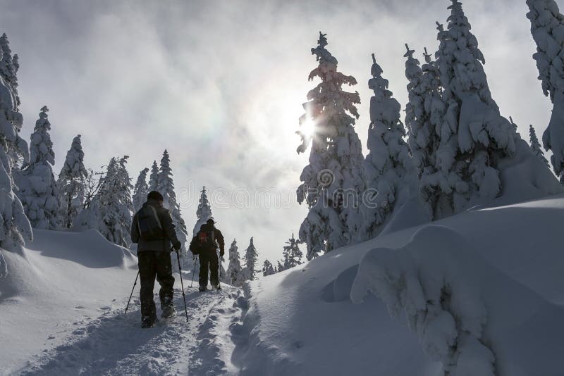 Fun snow day stock photo. Image of season, seasonal - 107772782