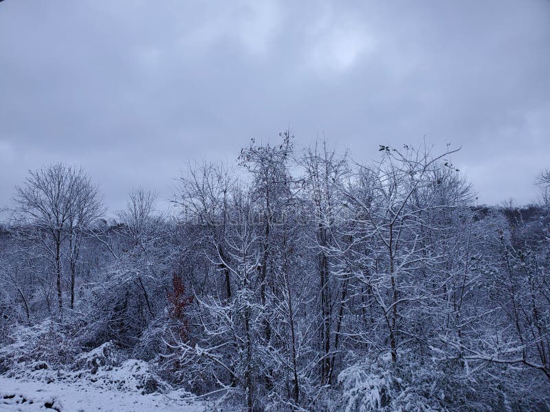 Snow in the afternoon stock image. Image of afternoon - 212753525