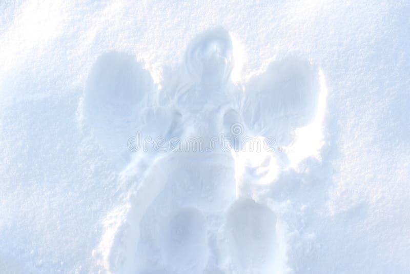 Snow Angel Print of a Child`s Figure in the Snow, Top View Stock Image ...