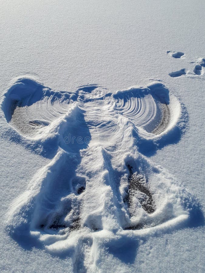 Snow Angel in the Snow View from Above Stock Photo - Image of weather ...