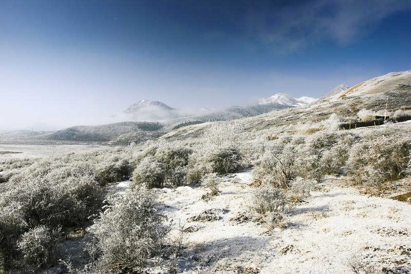 Snow area stock photo. Image of shape, drive, overlay - 7883358