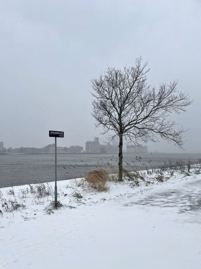 Snow Around the Amsterdam Canals in the Netherlands Stock Photo - Image ...
