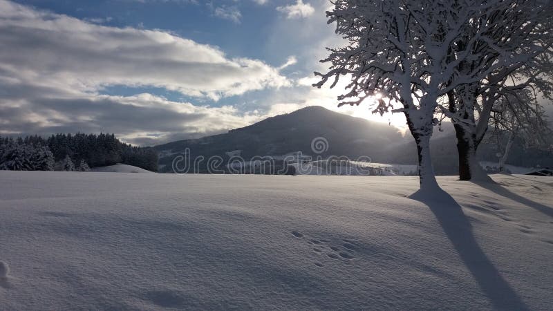 Snow Austria stock image. Image of cold, autumn, austria - 84548765
