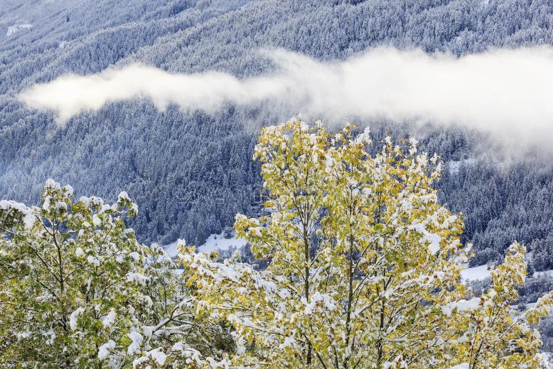 Snow in autumn stock image. Image of foliage, countryside - 25857843